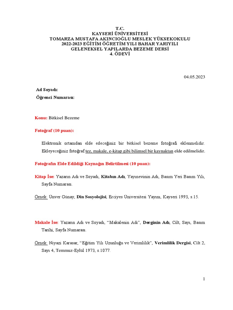 4 Odev Geleneksel Yapilarda Bezeme Dersi | PDF