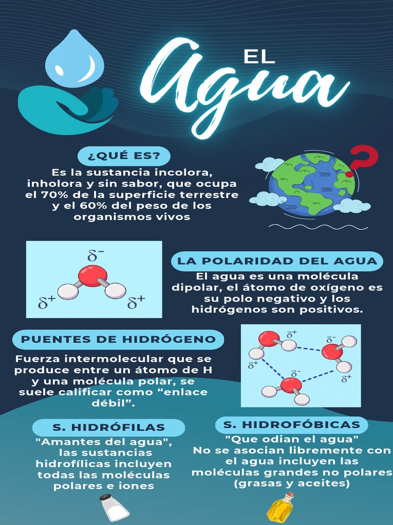 Infografía El Agua | PDF | Hogar, jardinería y bricolaje