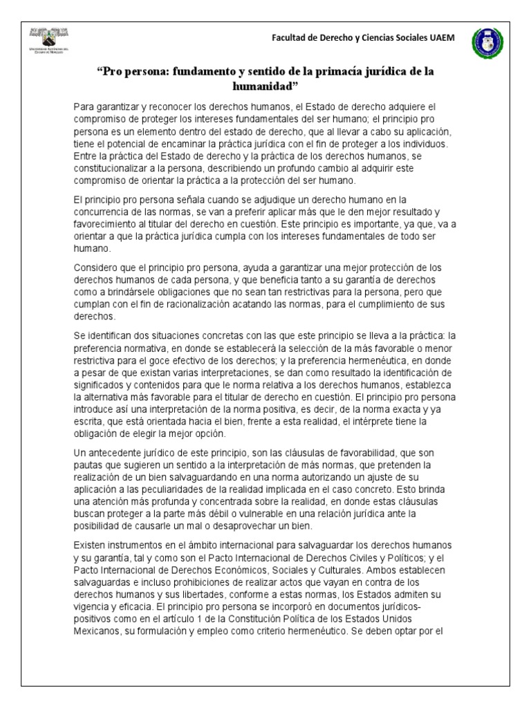 El Principio Pro Persona | PDF | Derechos humanos | Derechos