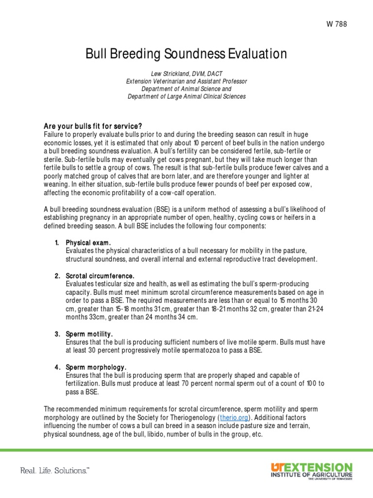 Bull Breeding Soundness Evaluation | PDF | Cattle | Fertility