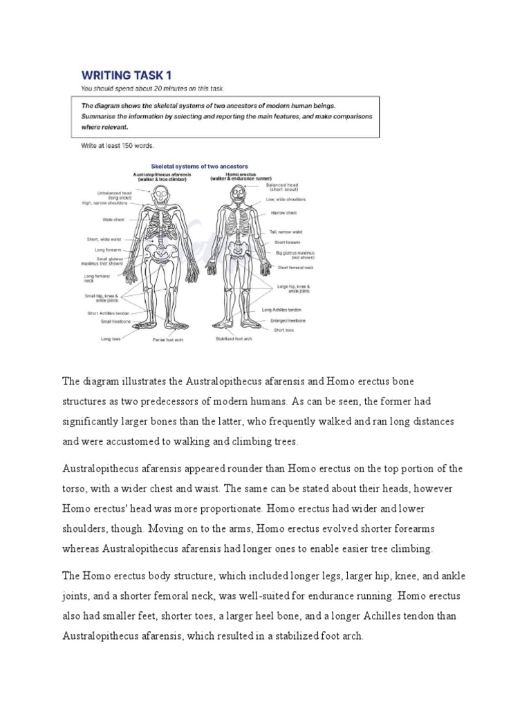 IELTS Writing Task 1 | PDF