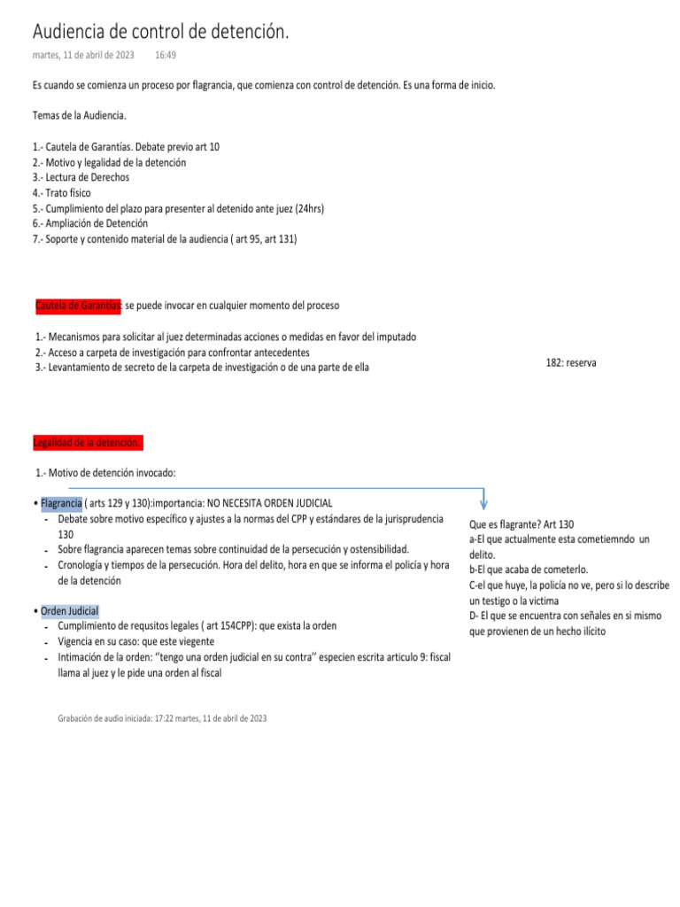 Audiencia de Control de Detención. | PDF