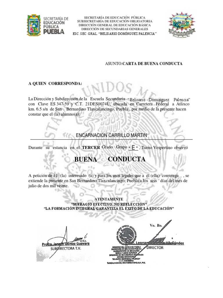 Carta de Buena Conducta | PDF