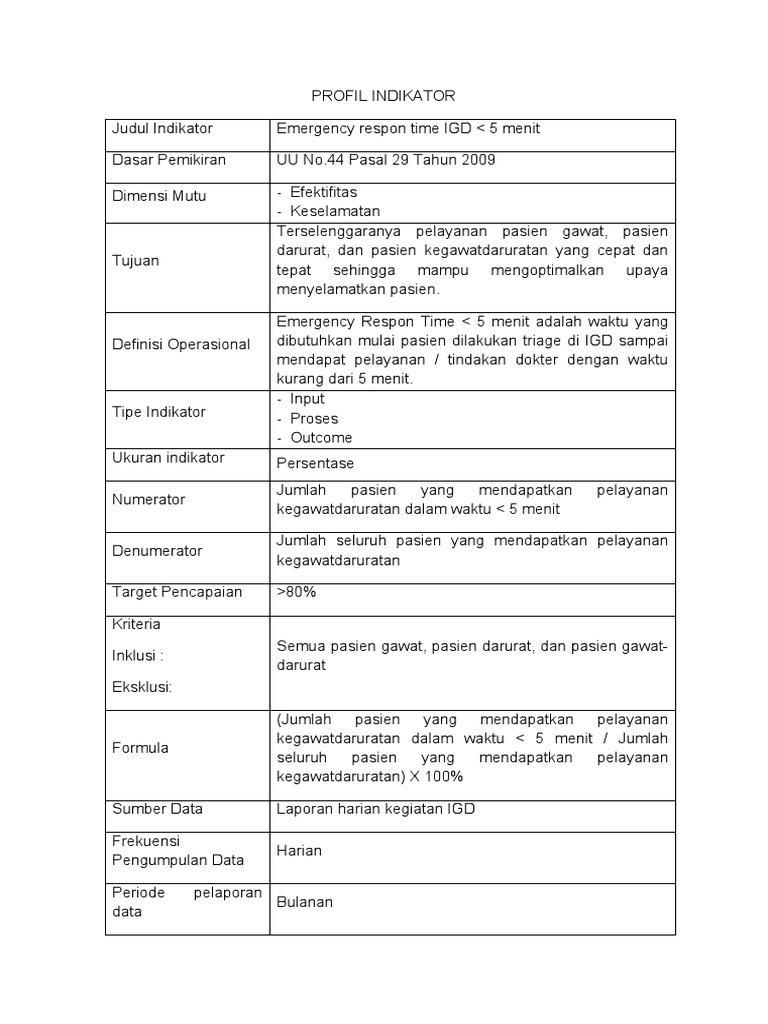 Profil Indikator Ert Igd 5 Menit | PDF