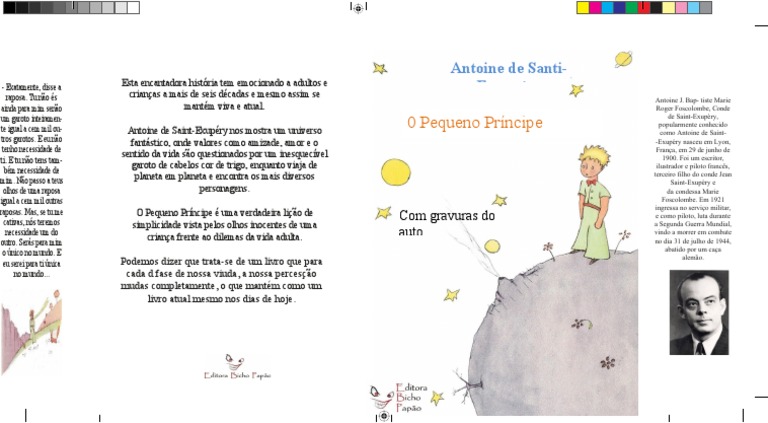 O Pequeno Principe Pdf