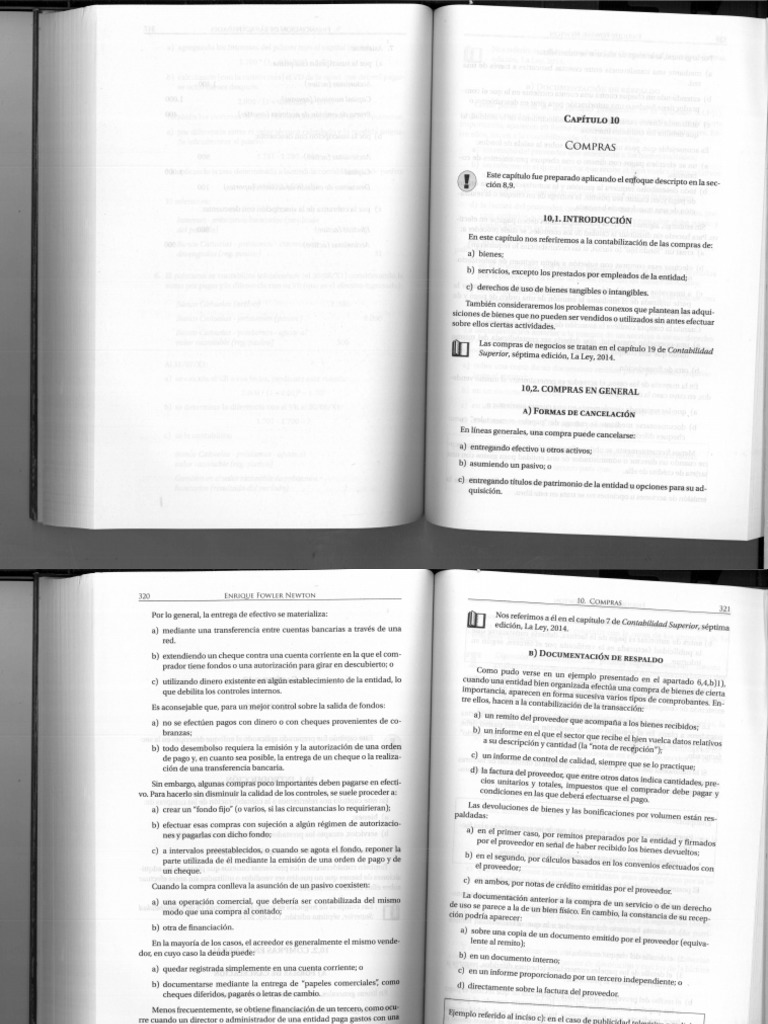 Capitulo 10 - Compras | PDF