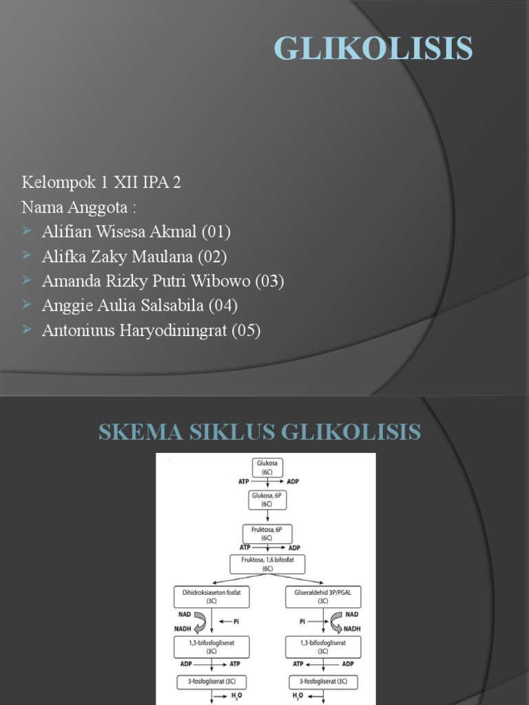 Glikolisis | PDF