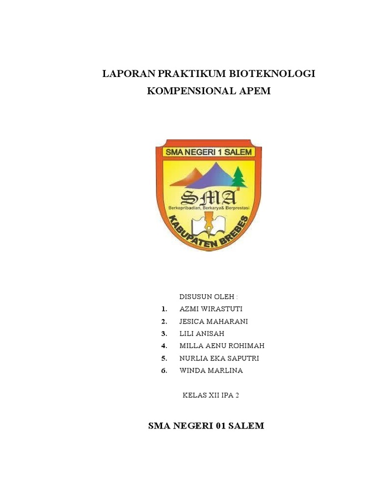 Apem Laporan | PDF