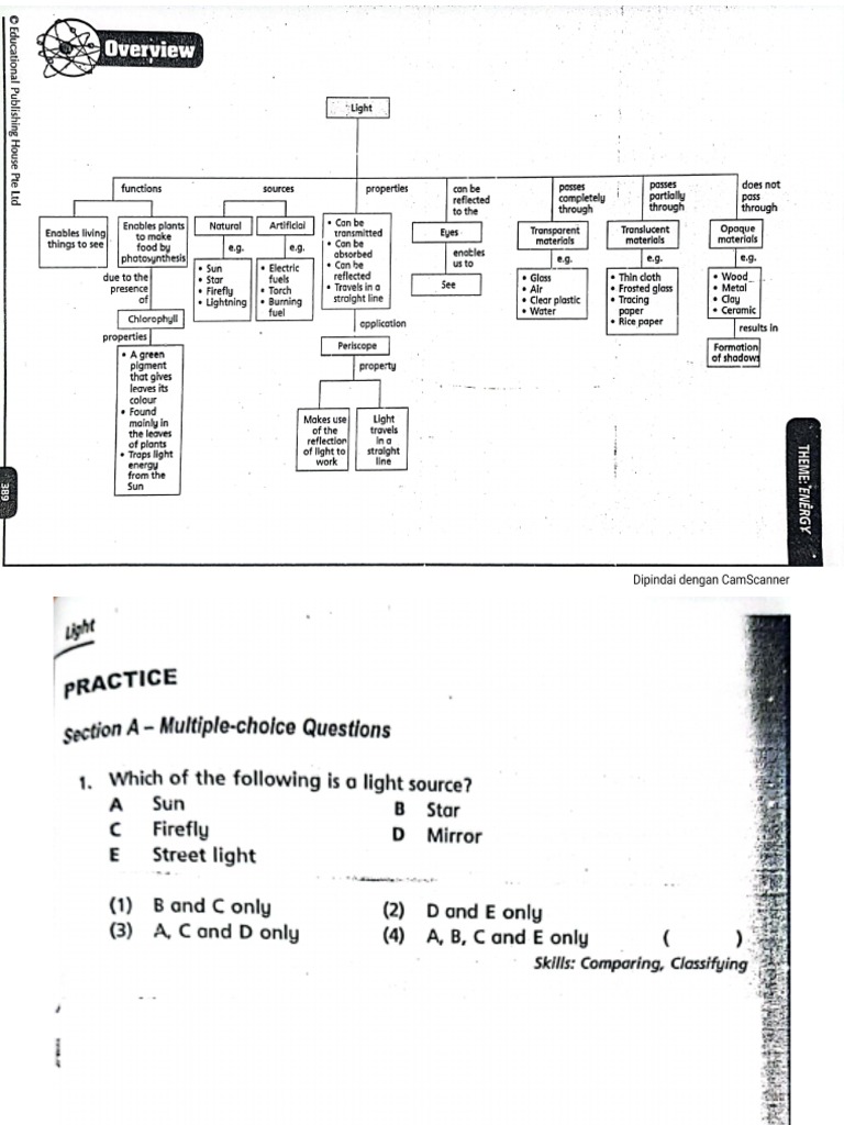 Science 4 - Light | PDF