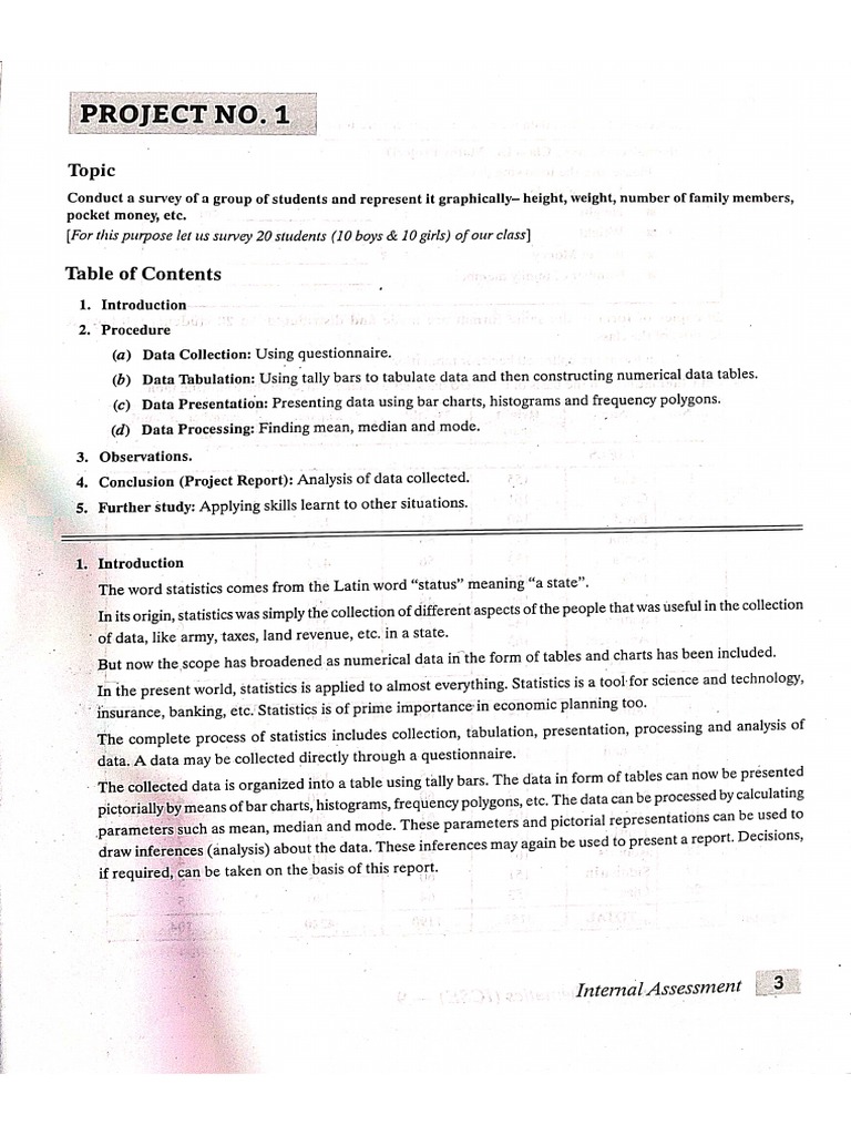 Maths Project CL 9 | PDF