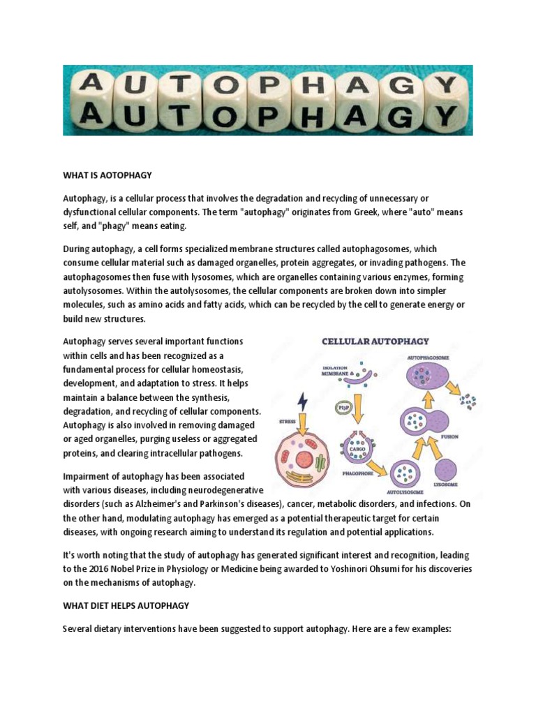 Autophagy | PDF
