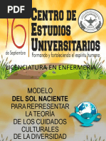 Modelos y Teorías de Enfermería - Lydia Hall | PDF | Enfermería | Medicina