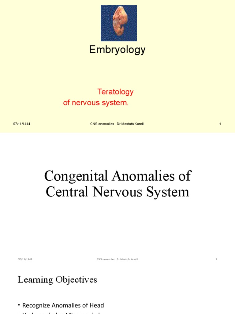 Congenital Anomalies of Nervous System DR Mostafa Kandil | PDF