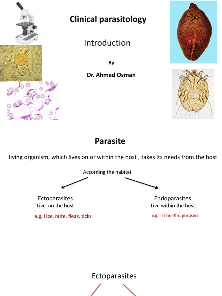 1st Lecture - Trematodes - Clinical Parasitology | PDF | Parasitism | Microbiology