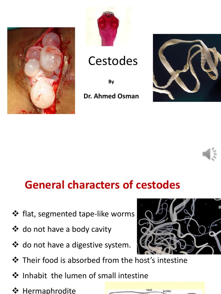 1st Lecture - Cestodes - Clinical Parasitology | PDF | Microbiology | Immunology