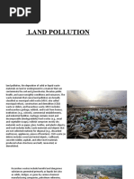 Geography (Land Pollution) Project | PDF