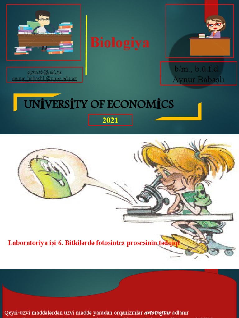 Lab 6 | PDF