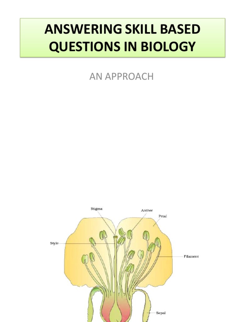 Skill and Schematic Representation - Biology Class XII | PDF