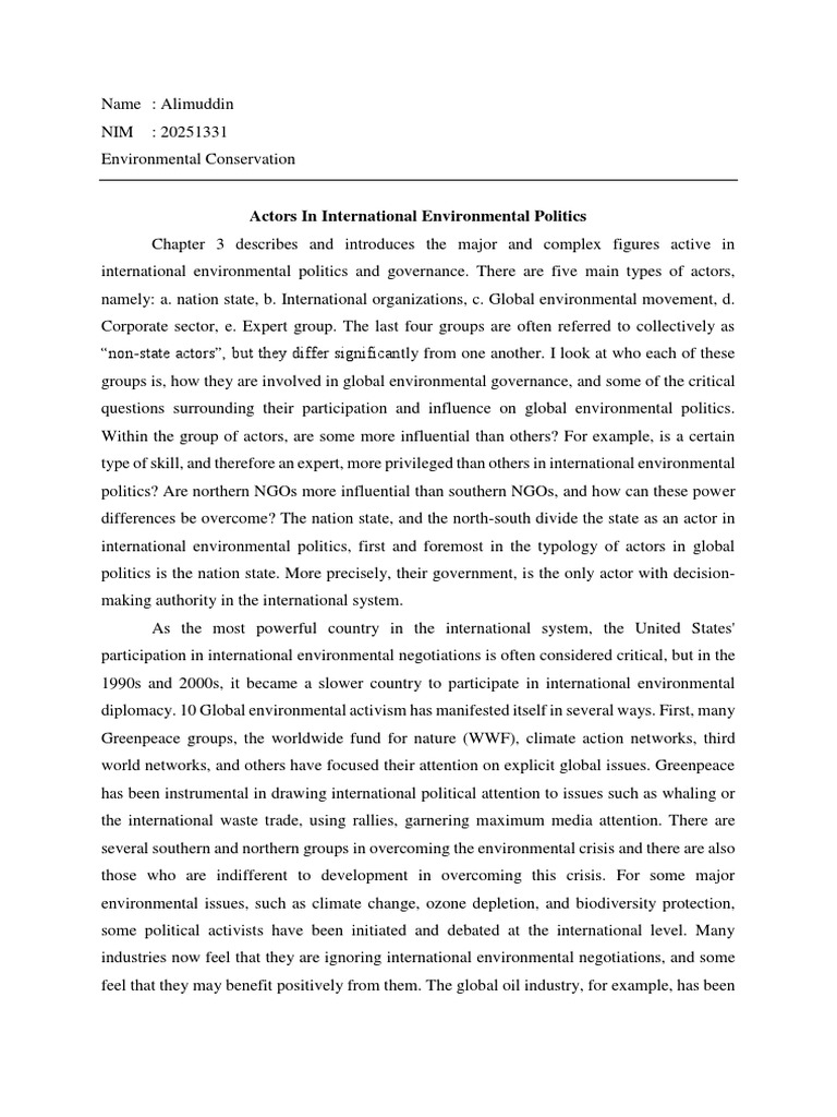 Key Actors in Environmental Politics | PDF