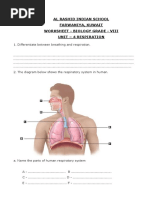 Grade 7 Worksheet | PDF | Breathing | Respiratory System
