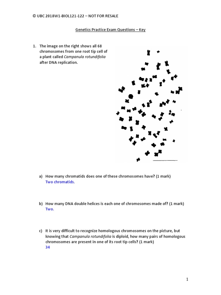 Genetics Practice Exam Questions Key Pdf Dominance Genetics 6331