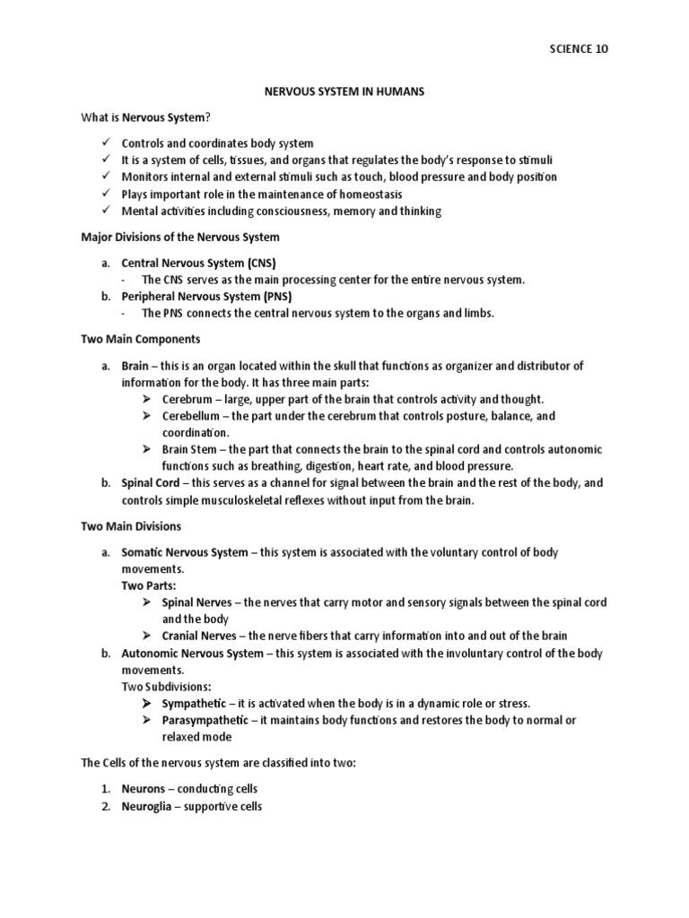 SCIENCE 10 - Nervous System | PDF