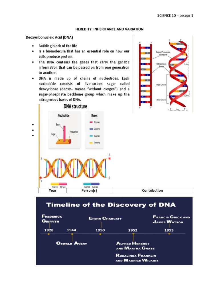 SCIENCE 10 (4TH Quarter) - Heredity | PDF | Dna | Rna
