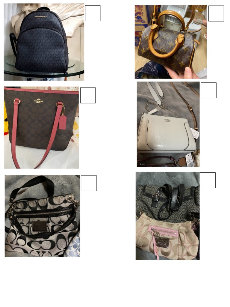 Bags Audit | PDF