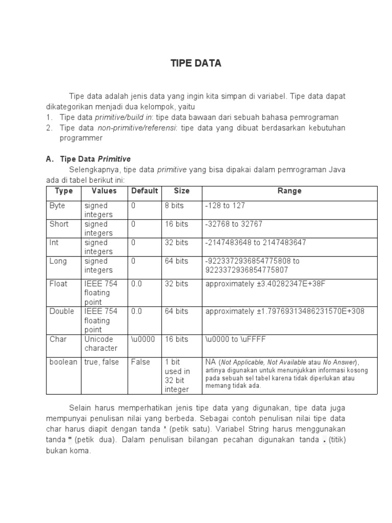 03 Tipe Data | PDF | Komputer | Teknologi & Rekayasa