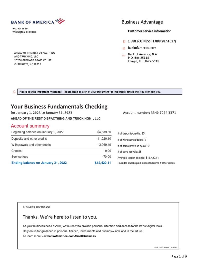 Business Account Summary for AHEAD LLC | PDF | Banks | Fee