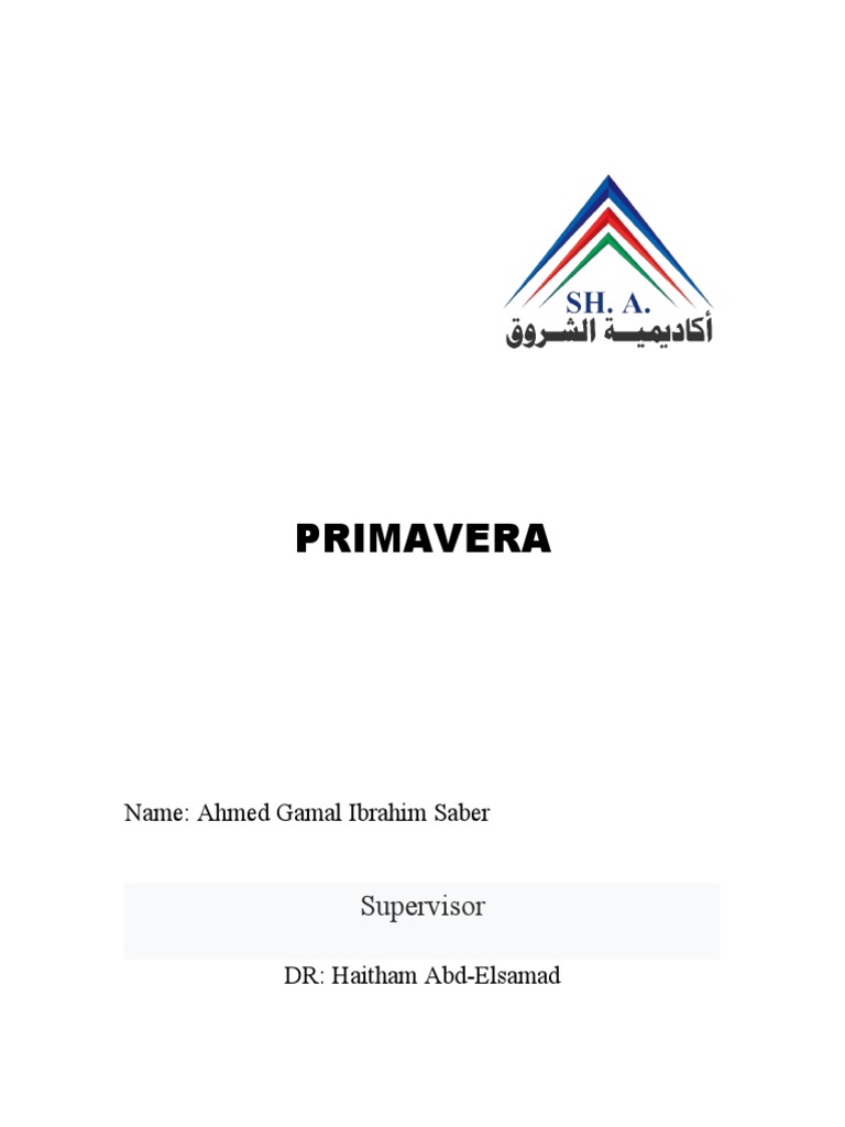 PRIMAVERA | PDF | Information Technology | Computing
