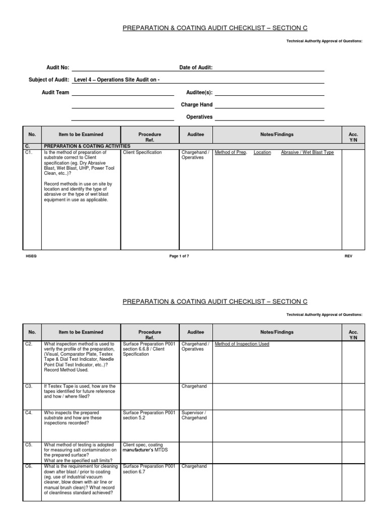 Section C - Preparation and Coating Audit Template | PDF | Audit | Pump