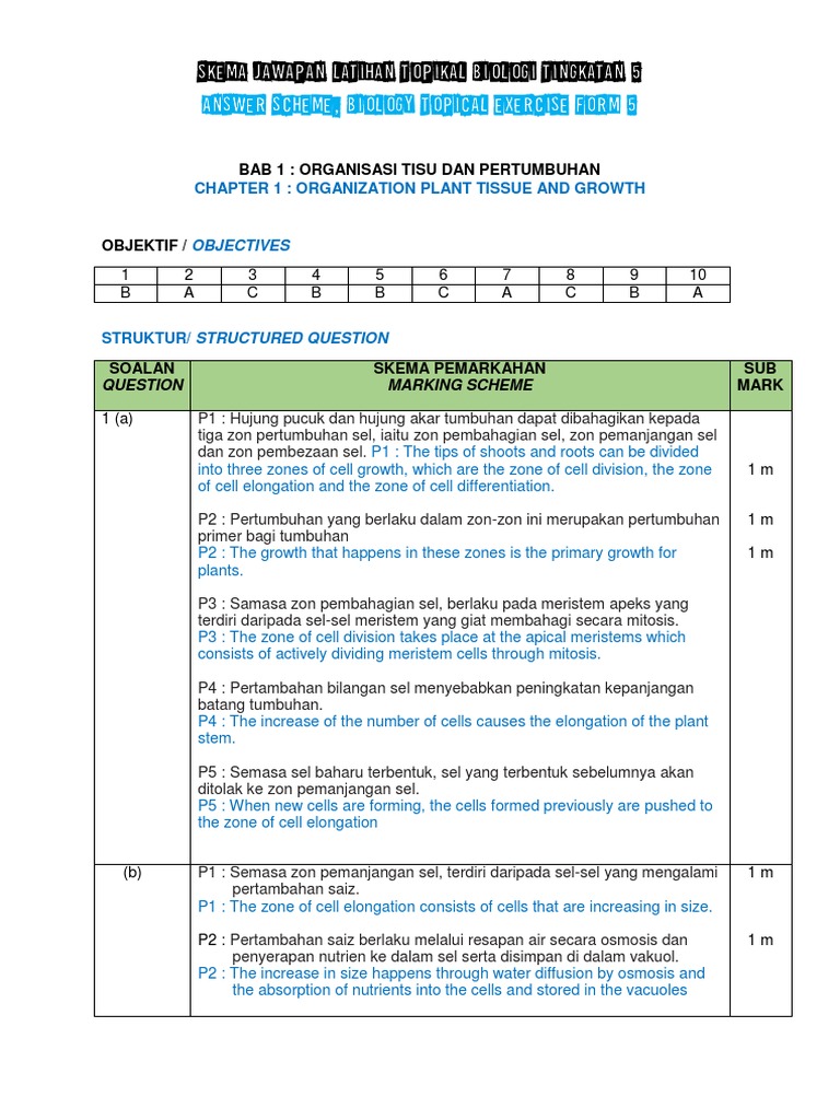 SKEMA JAWAPAN MODUL HEBAT(TOPIKAL T5)_DWI (1) | PDF