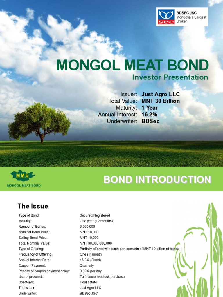 Just Agro Bond | PDF | Revenue | Lamb And Mutton