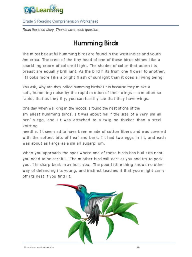 5th Grade 5 Reading Hummingbirds | PDF