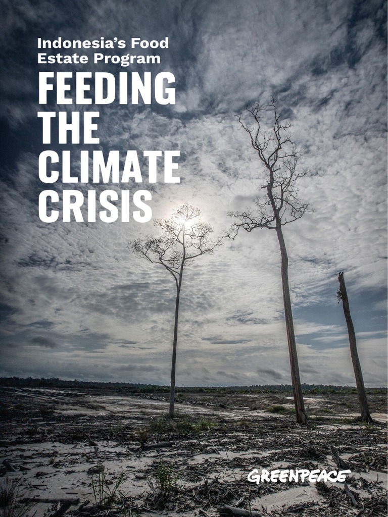Food Estate Report Greenpeace | PDF | Food Security | Climate Change