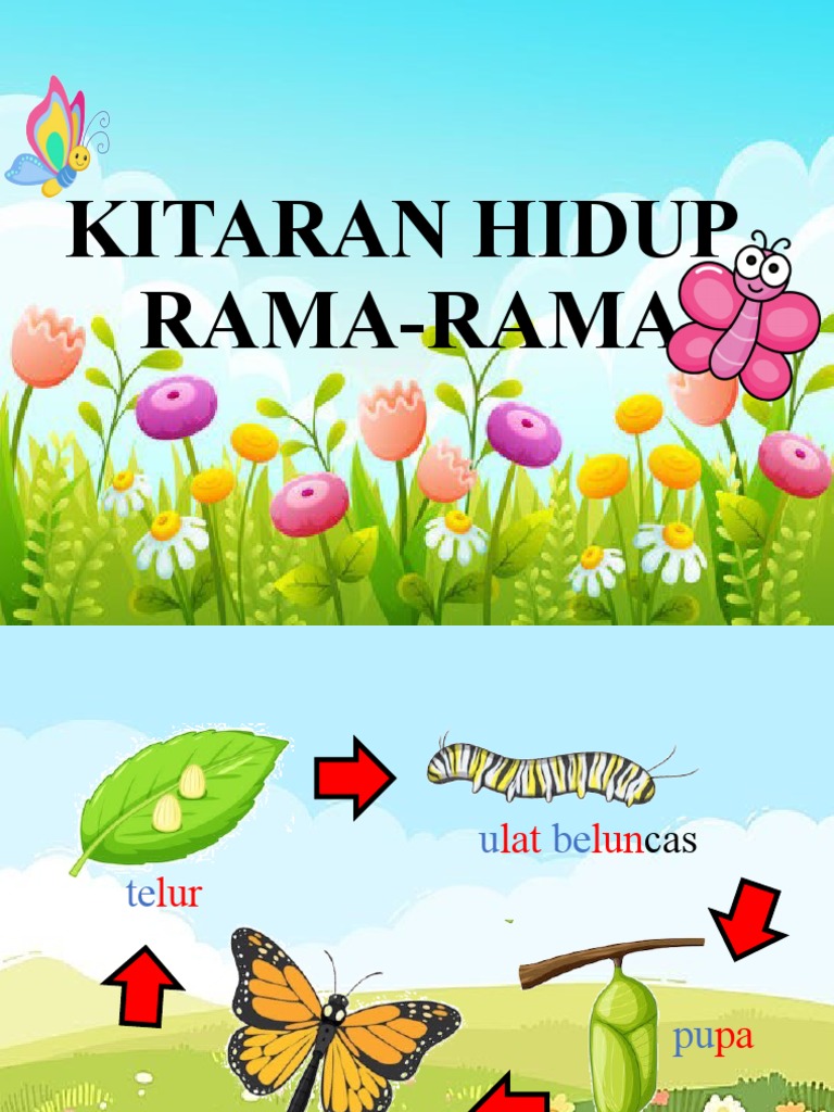 KITARAN HIDUP Rama-Rama | PDF