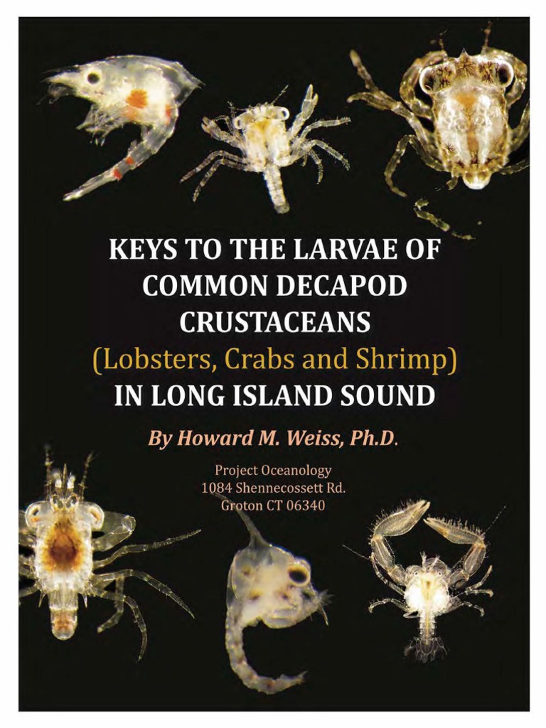 Decapod A | PDF | Arthropods | Zoology
