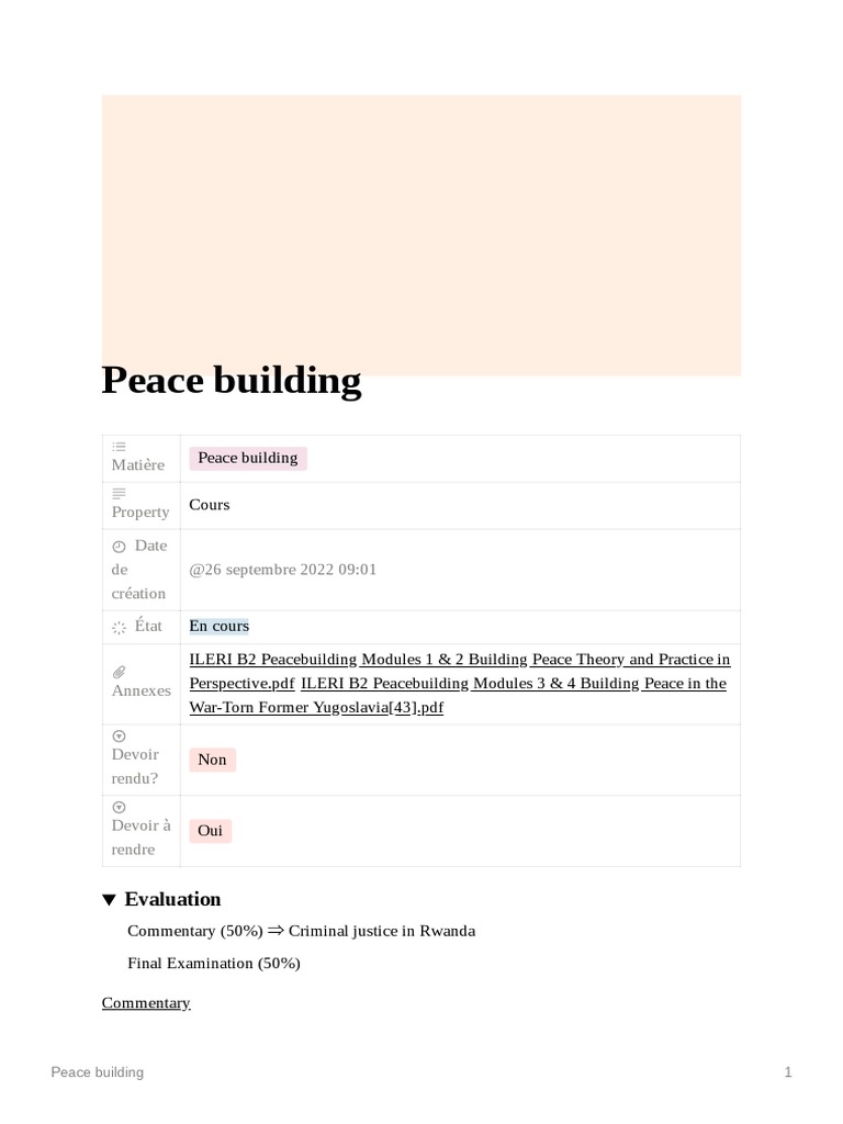 Peace Building | PDF | Peacebuilding | Peacekeeping