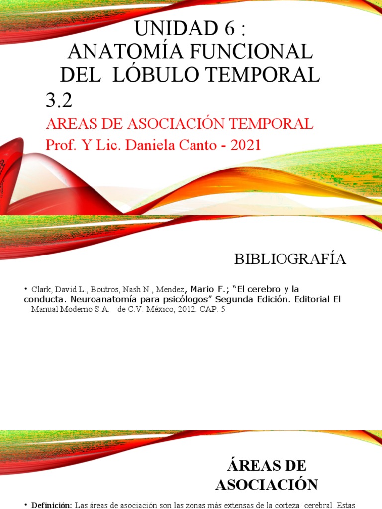 Lóbulo Temporal | PDF | Corteza Insular | Lóbulo temporal