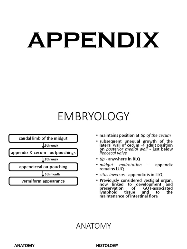 Appendix | PDF | Peritoneum | Medical Specialties