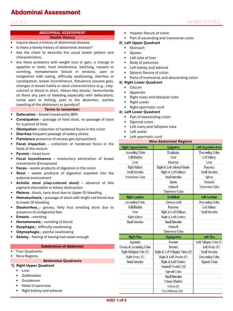 316 RLE - Abdominal Assessment | PDF