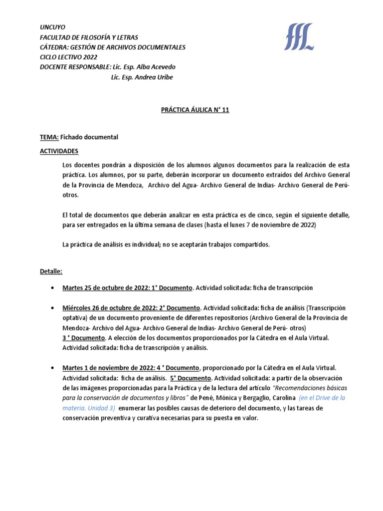 PRÁCTICA ÁULICA #11. Análisis y Transcripción de Documentos. | PDF