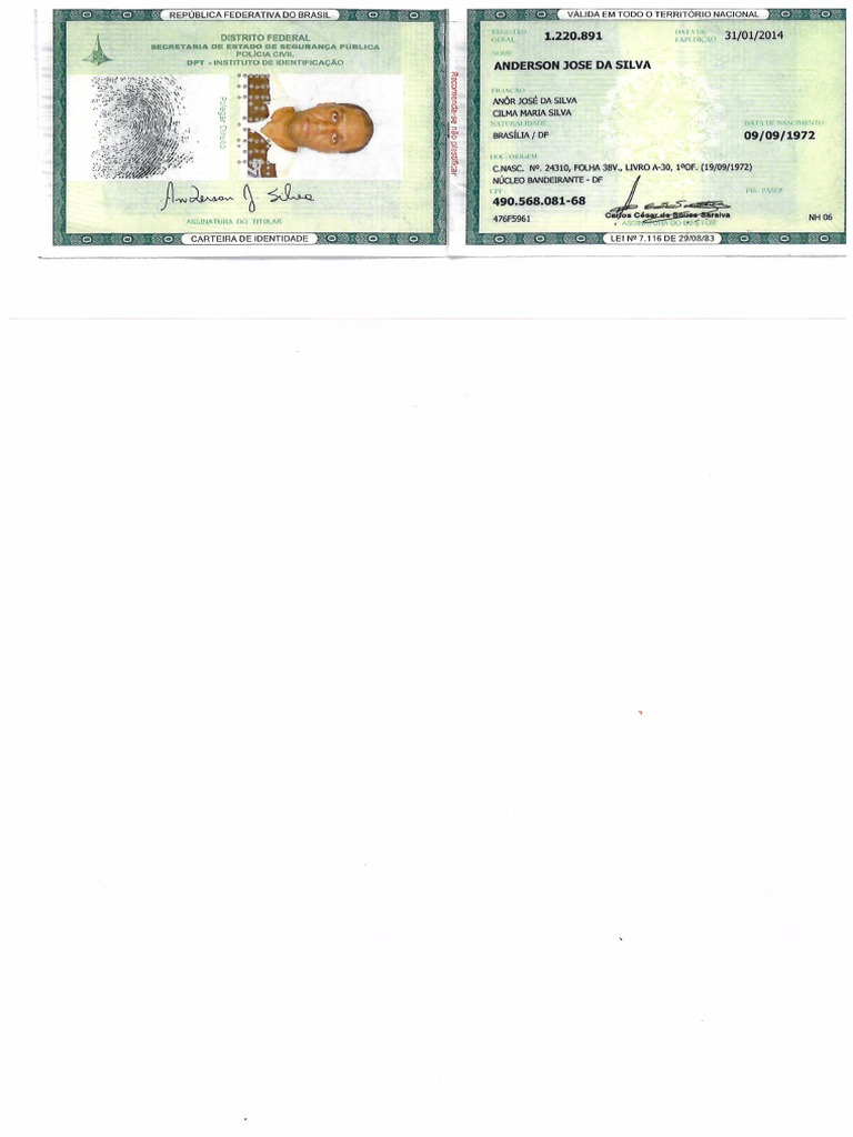 RG Anderson J Silva | PDF