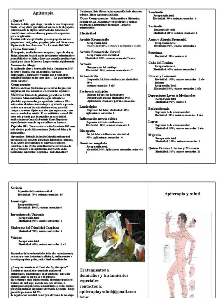 Apiterapia: Efectividad y Tratamientos | PDF