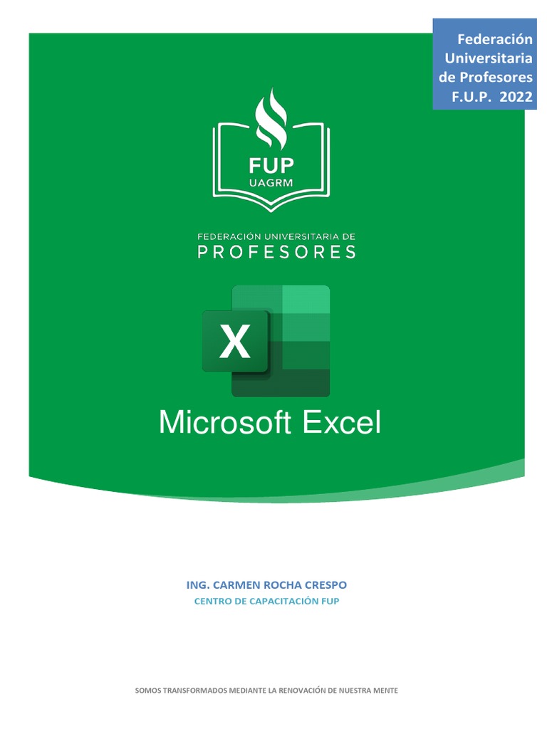 Manual Excel Basico y Ejercicios | PDF | Hoja de cálculo | Microsoft Excel