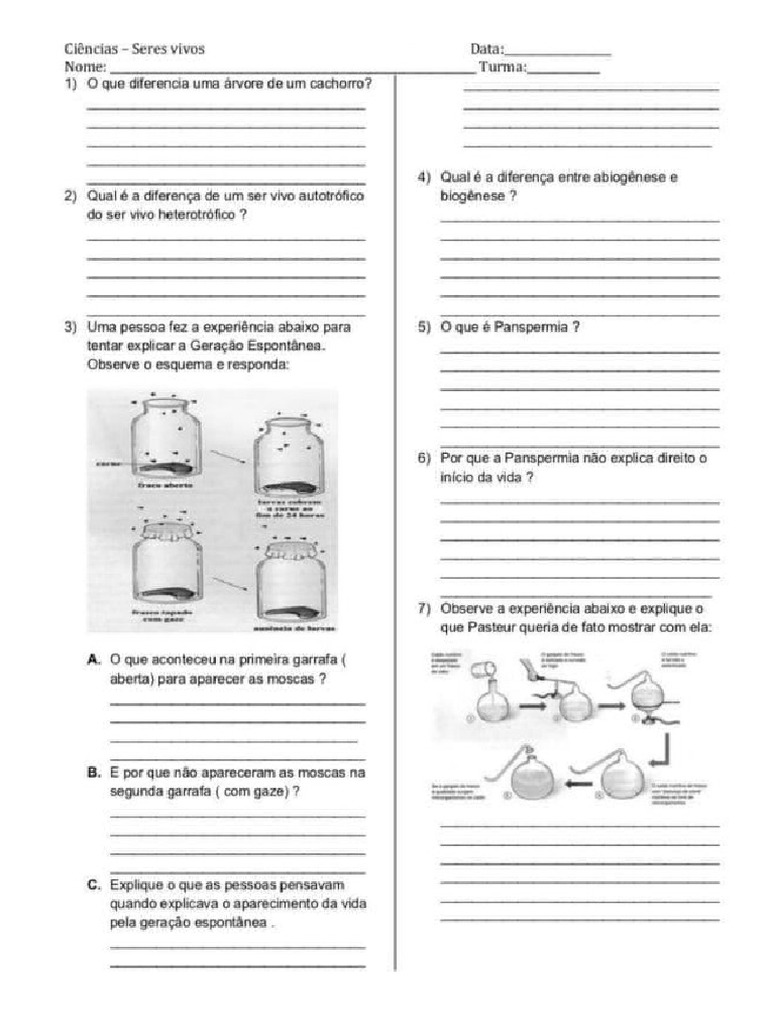 Exercício Biogênese e Abiogenes | PDF