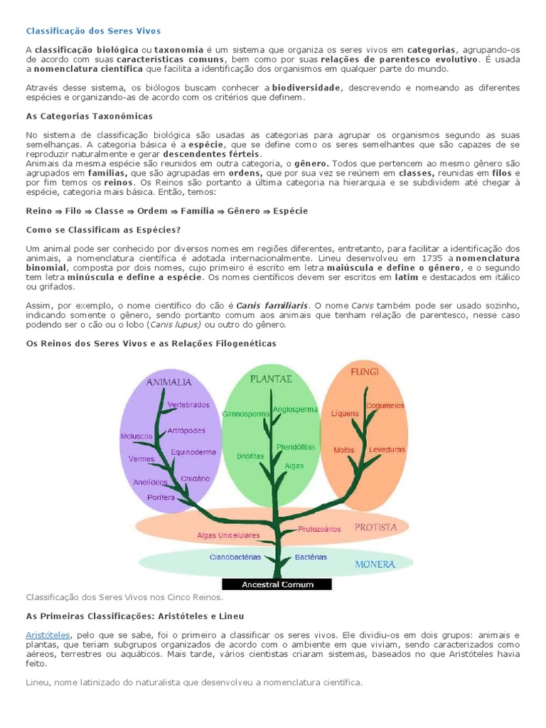 Classificação Dos Seres Vivos | PDF | Filogenética | Taxonomia (Biologia)