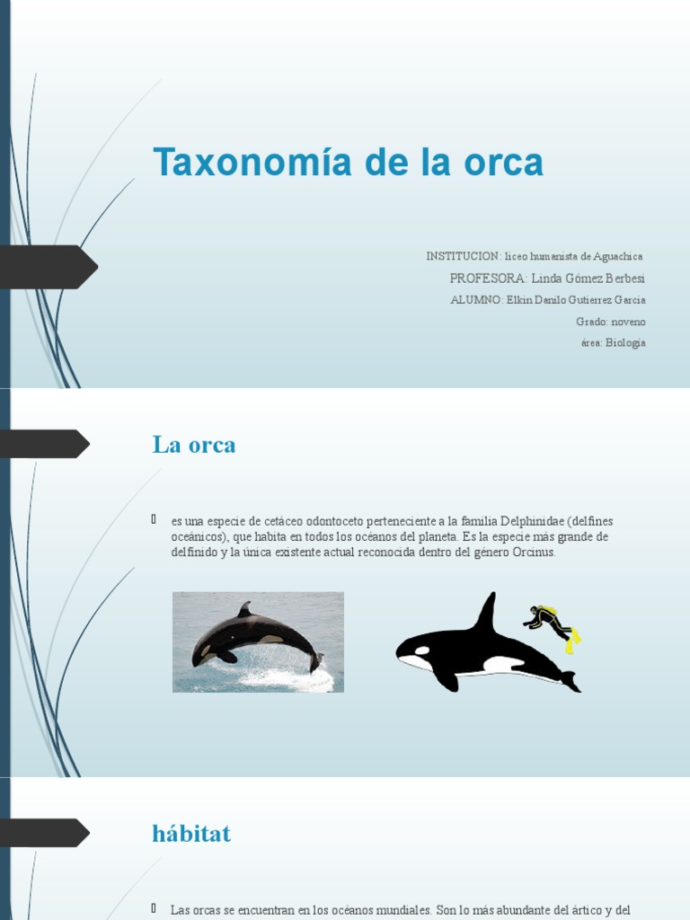 Taxonomía de La Orca | PDF