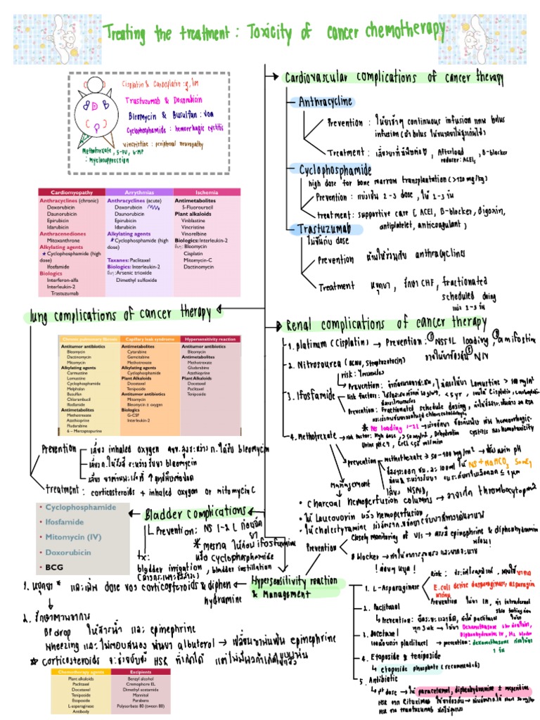 Mind Mapping CA | PDF